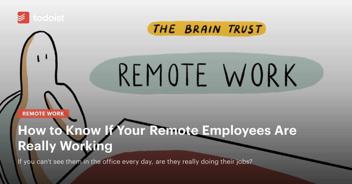 How to Know If Your Remote Employees Are Really Working [Comic] – Doist ...